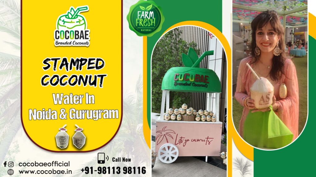 Stamped Coconut water in Noida Gurugram – Cocobae