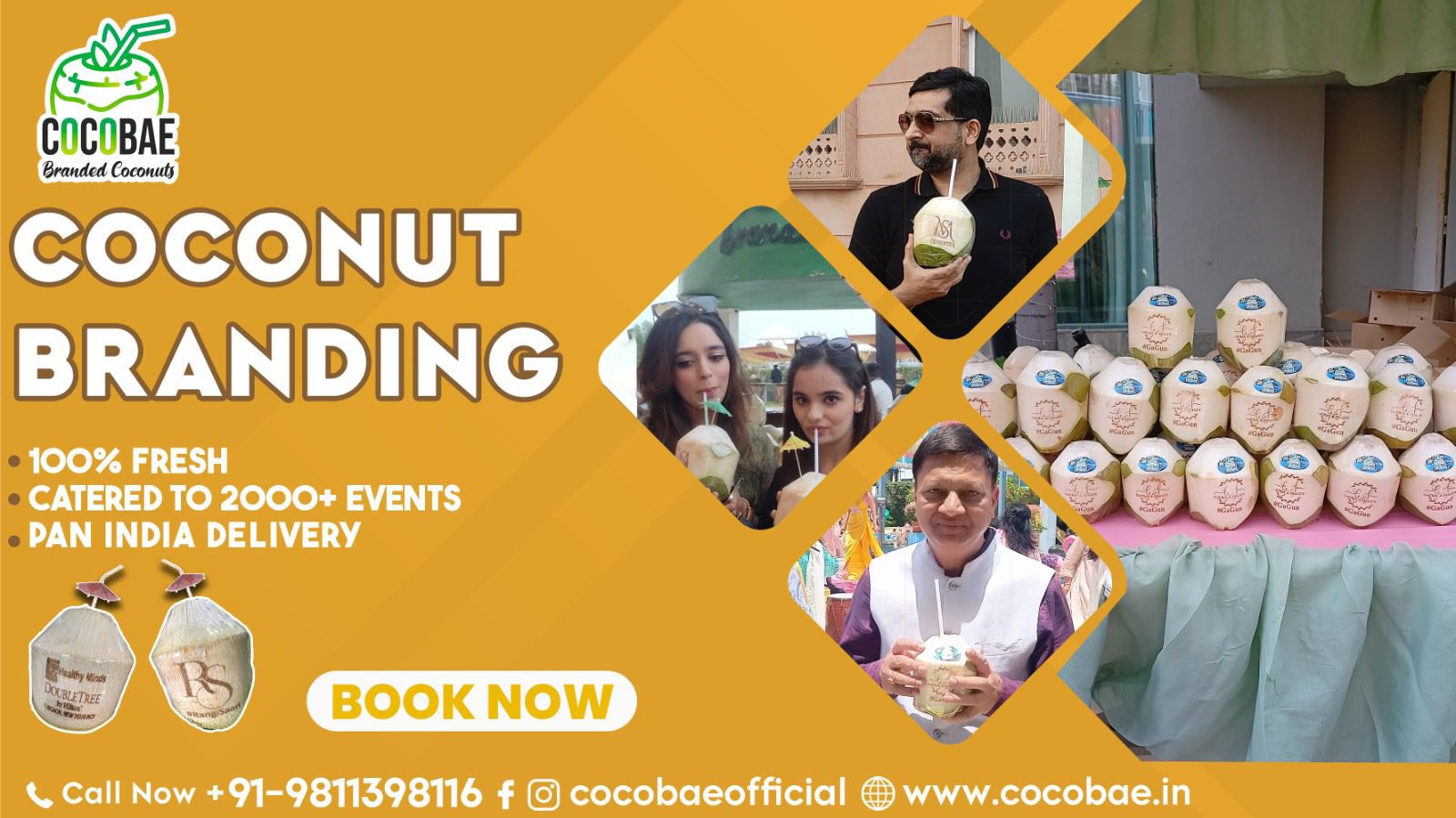Coconut Branding – Cocobae