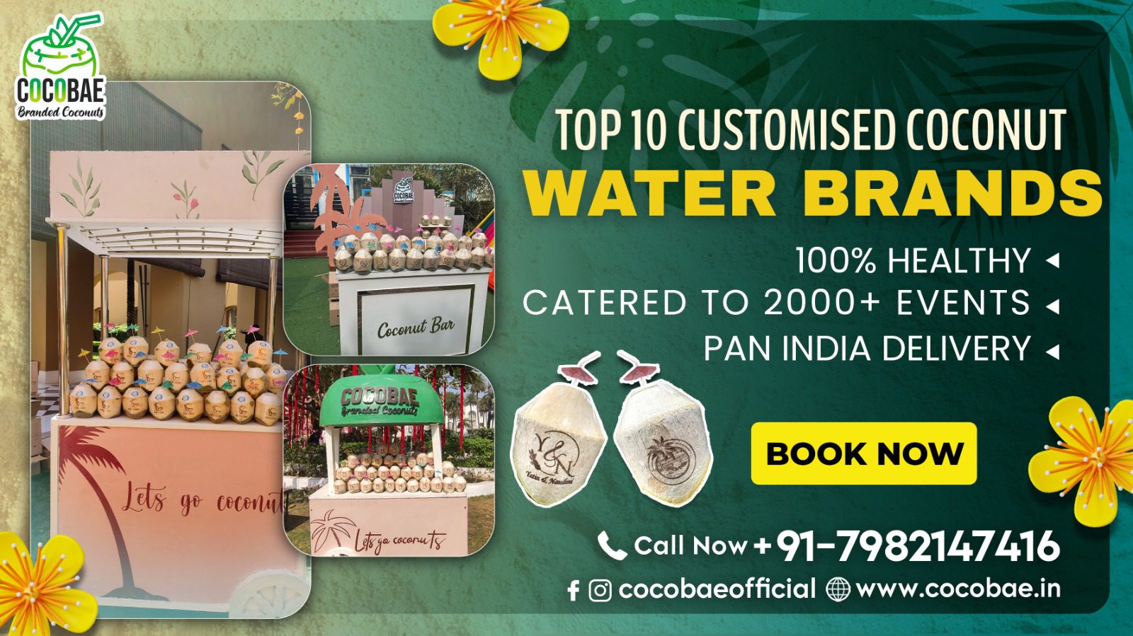 Top 10 Customised Coconut Water Brands – Cocobae